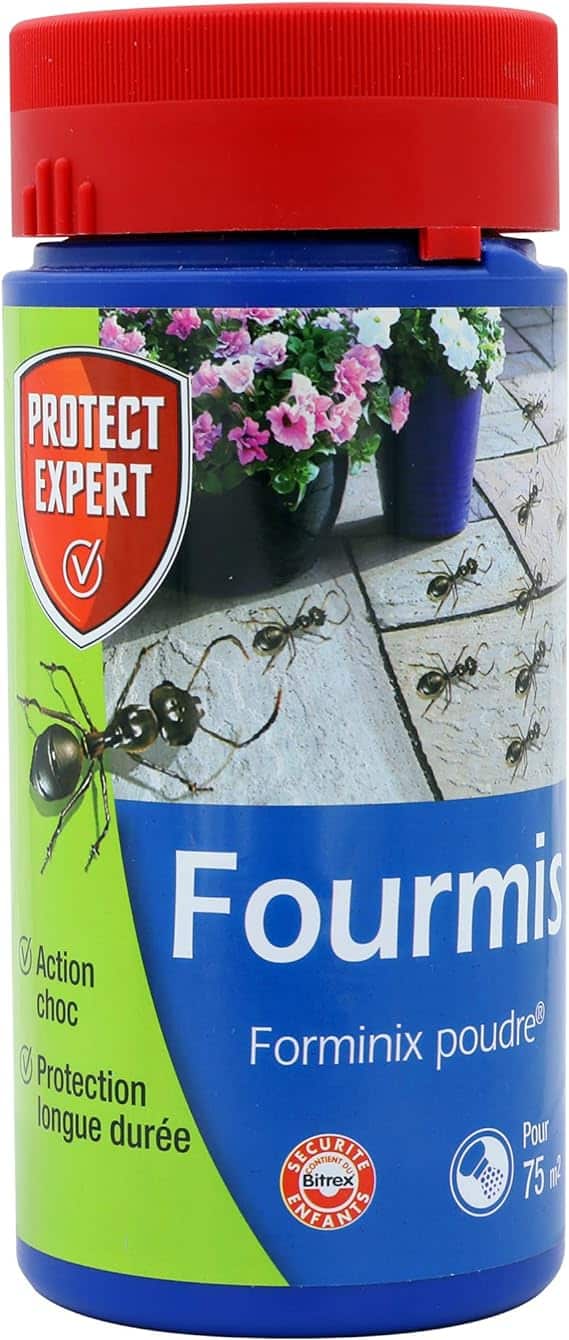 TOP 5 des MEILLEURES poudres anti-fourmis - Stop Nuisible
