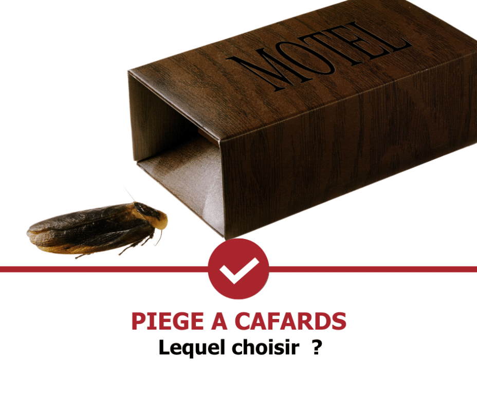 Top 5 des MEILLEURS pièges à cafards - Stop Nuisible